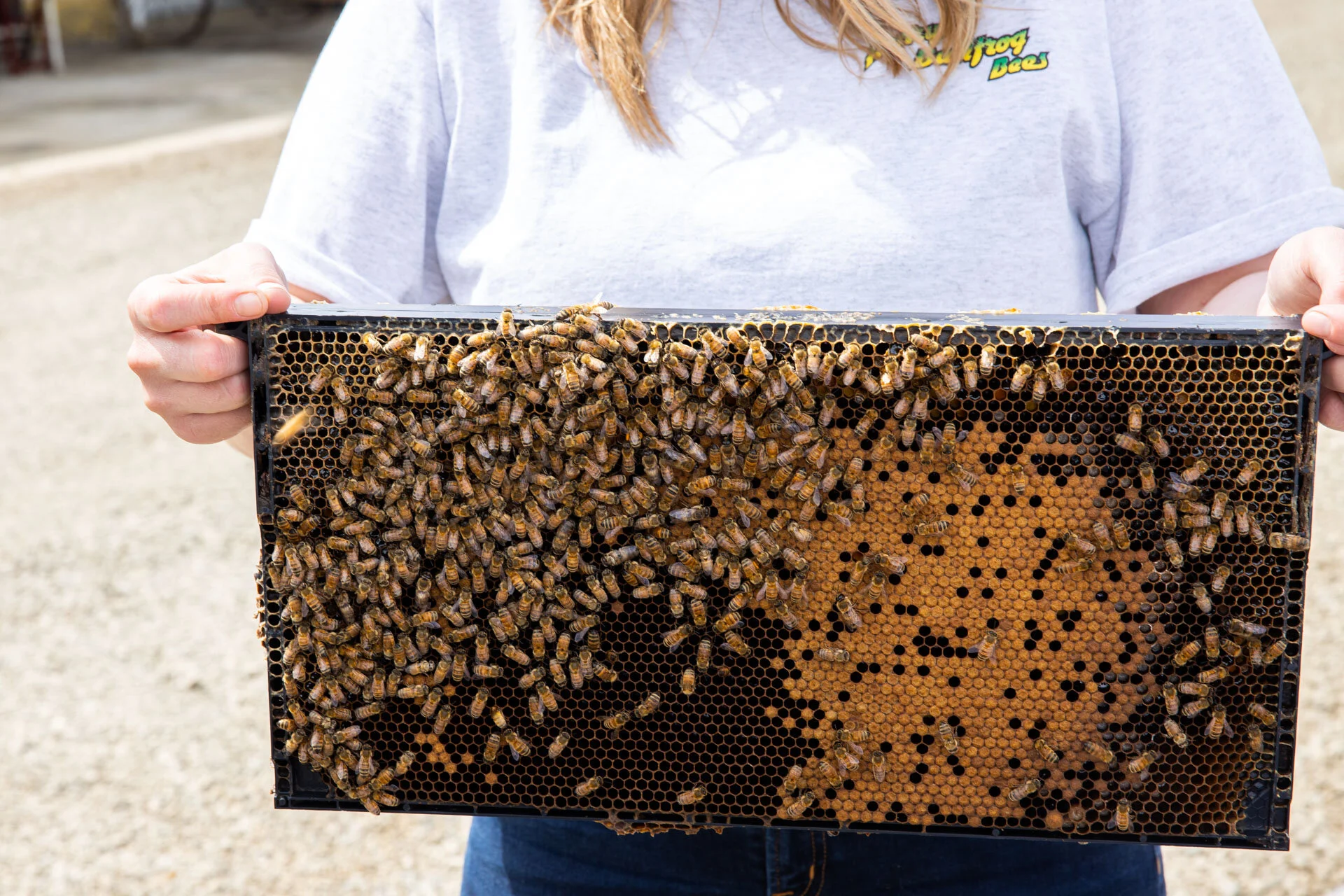 Nugget Markets — Kara Blake Chin | Sacramento Food Photographer