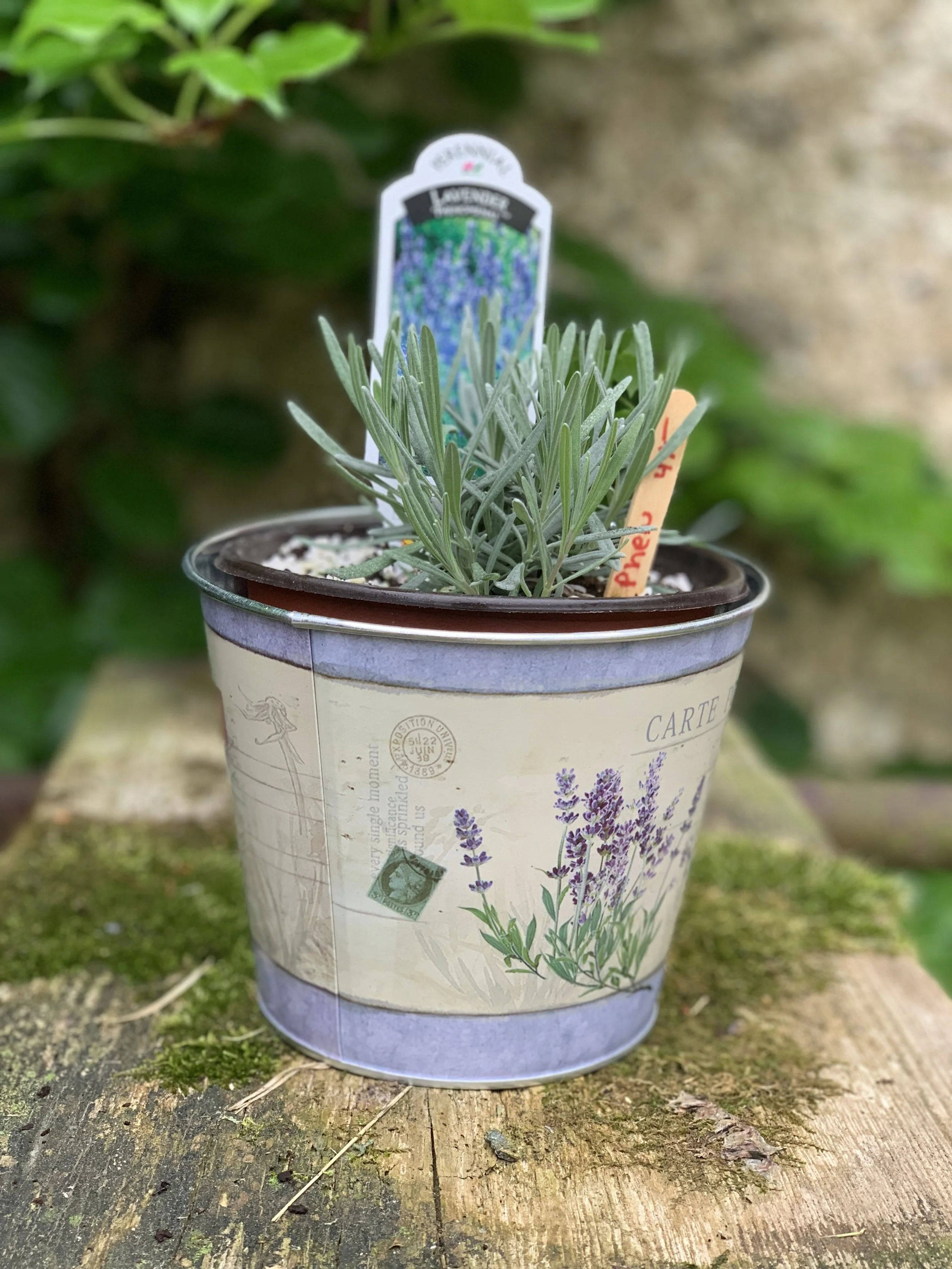 Shop Beautiful Handcrafted Lavender Wellness, Beauty, Culinary, Gifts ...