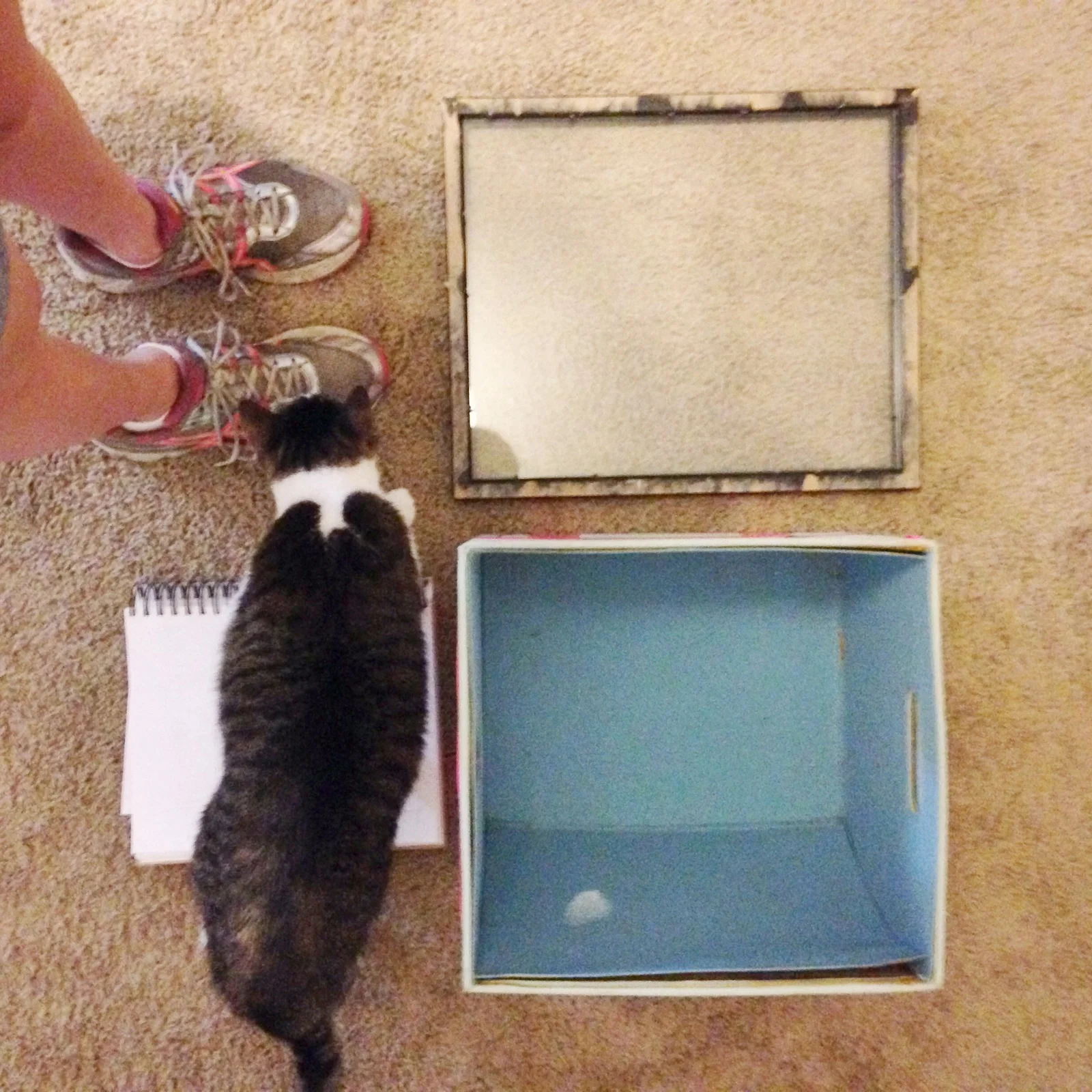 Easy DIY Light Table For Tracing — Artist Lydia Makepeace