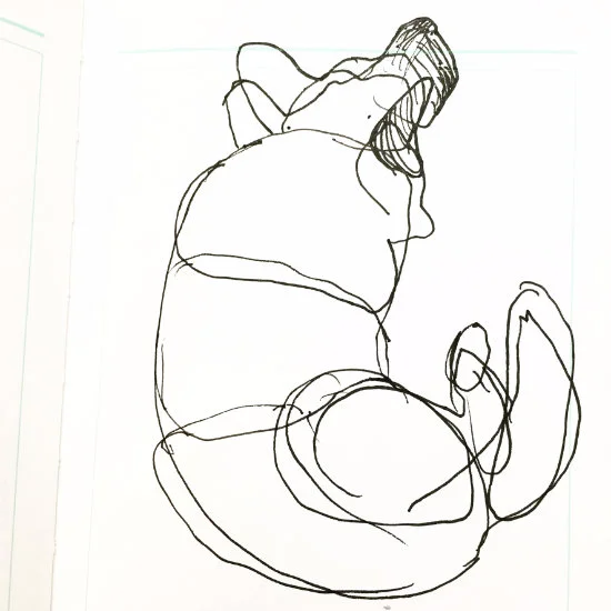 Daily Drawing Challenge — Artist Lydia Makepeace