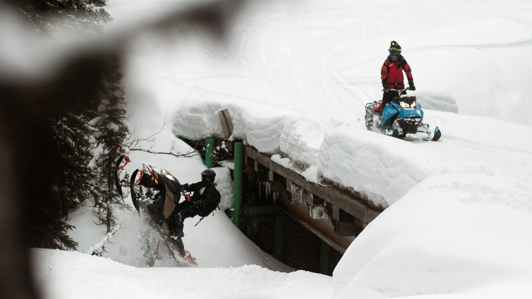 Bullmoose Sledding | Adventure — TANIS PHOTO