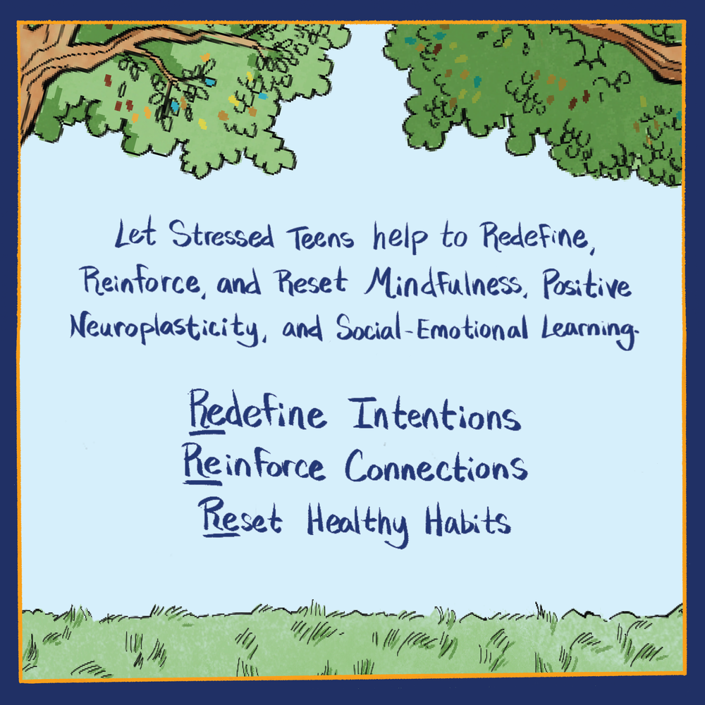 Training on the Mindfulness-Based Stress Reduction for Teens (MBSR-T ...