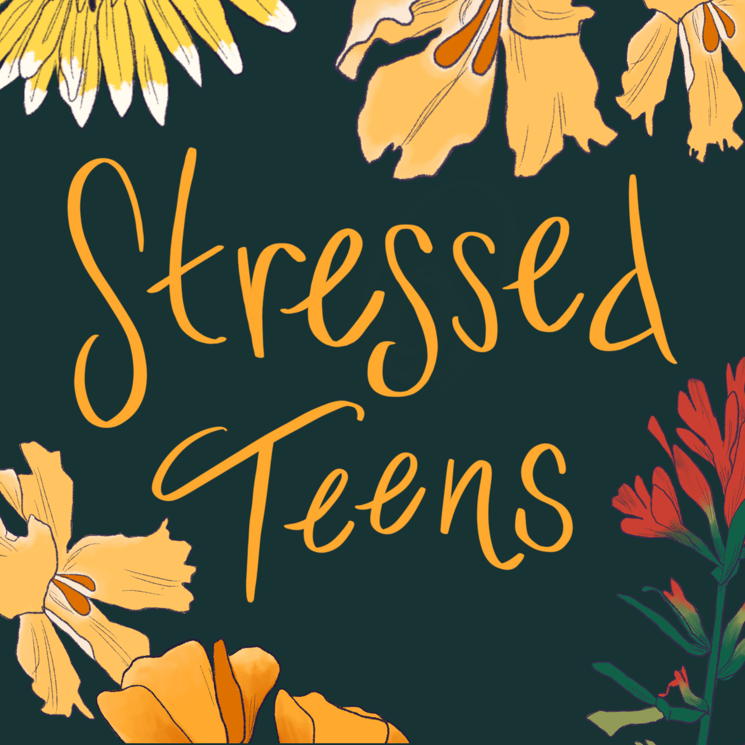 Amazon — Stressed Teens