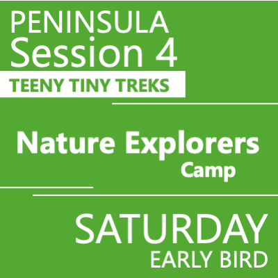 Teeny Tiny Treks — Tiny Treks Outdoor Classes
