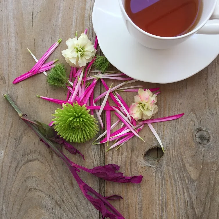 Creative Spotlight: Sue Ann Gleason — Embody Your Muse