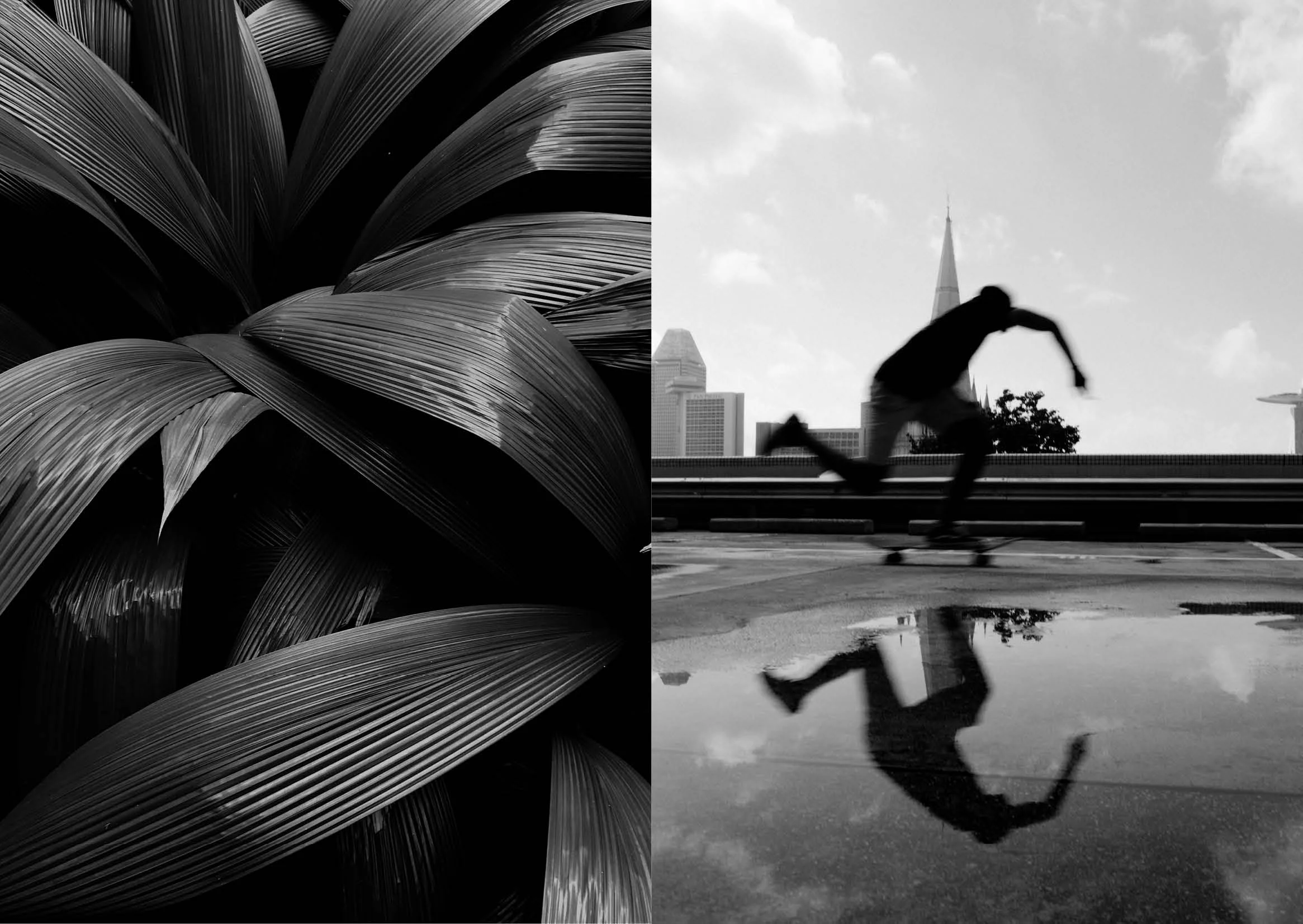 Jungle Urbaine - Singapore — Desillusion Magazine