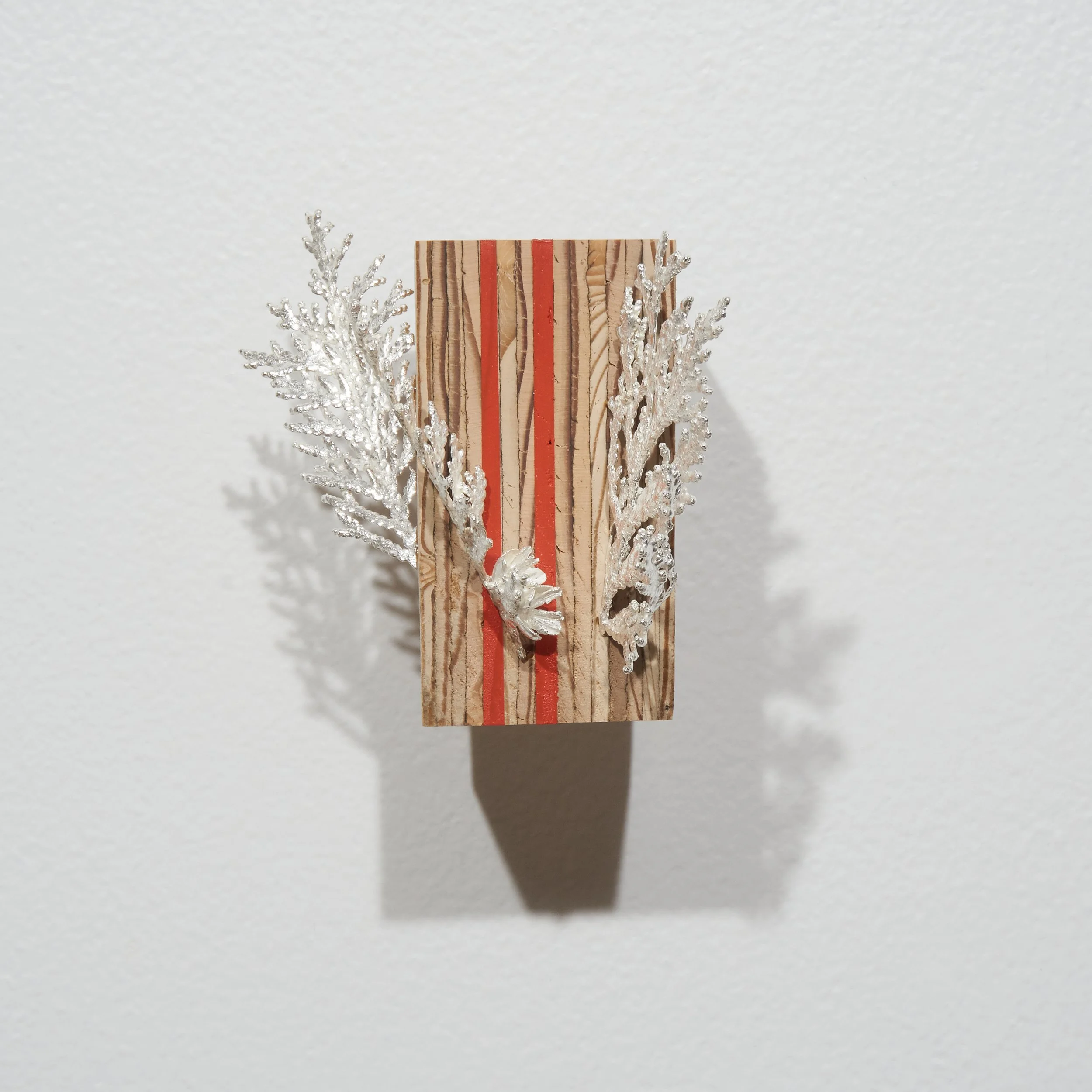 Artifacts/Ecofacts — Jessica Tenbusch - Visual Artist