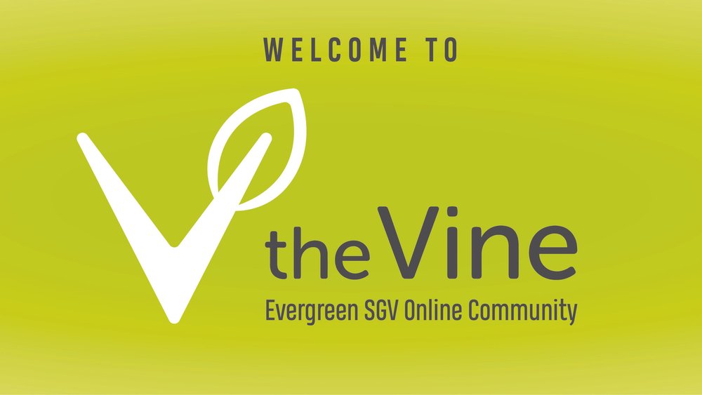 The Vine Login — EVERGREEN SGV