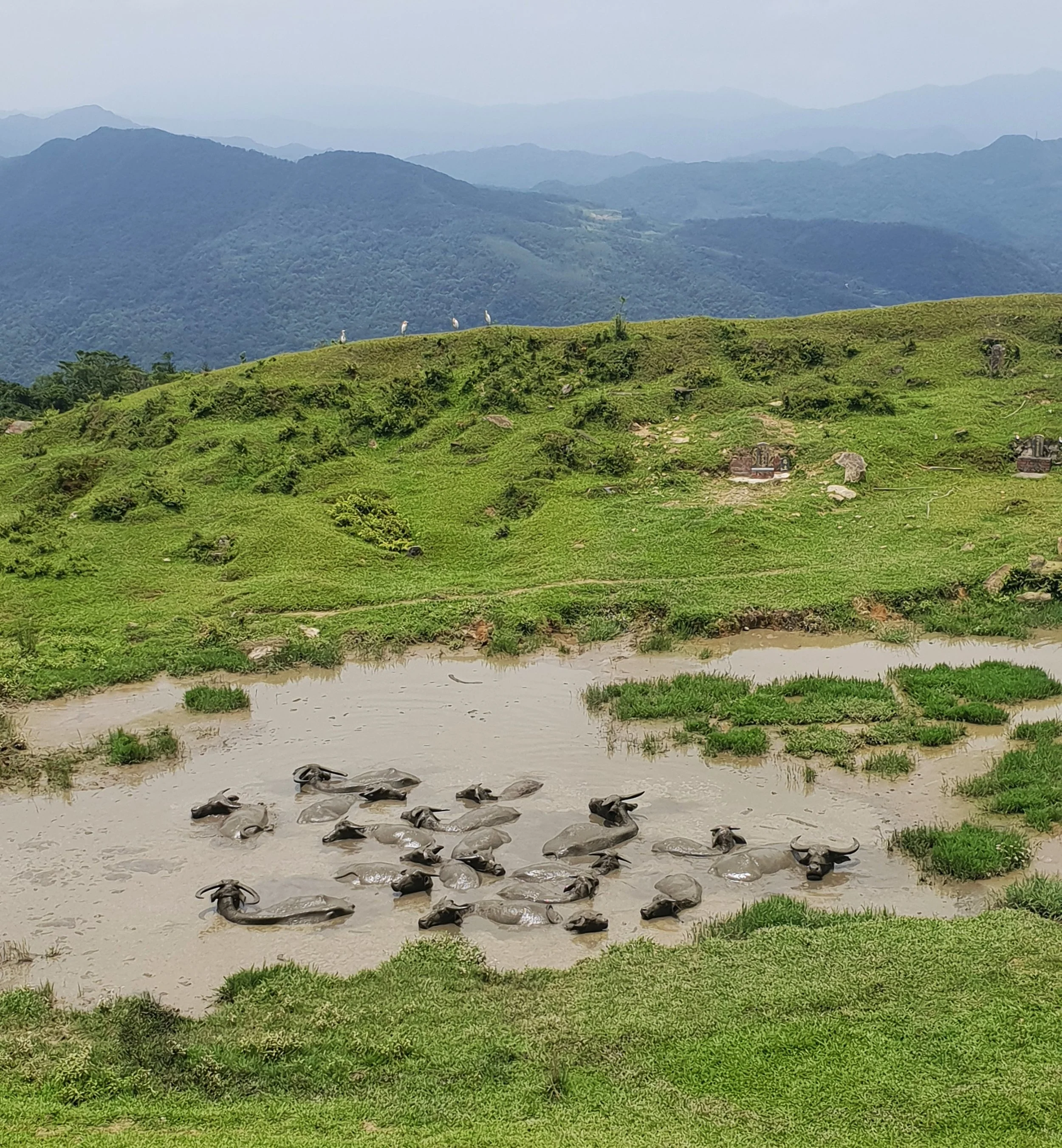 Taoyuan Valley Hiking, Yilan (桃源谷步道) — Over the city