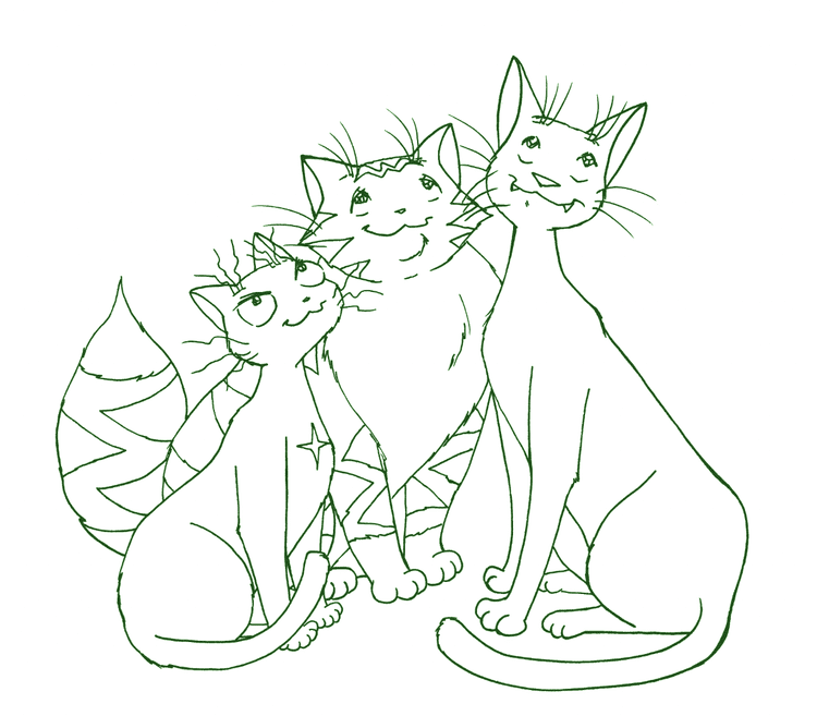 Home — Rikkitikki Tavicat