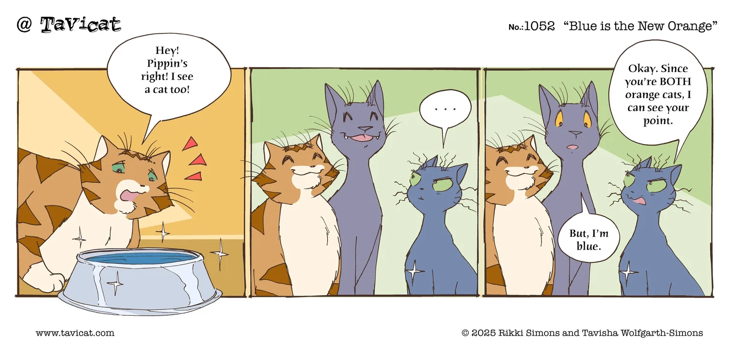 @Tavicat — Rikkitikki Tavicat