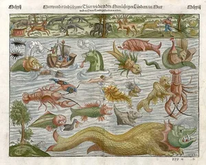 True account of sea monster sighting — Buttress & Snatch