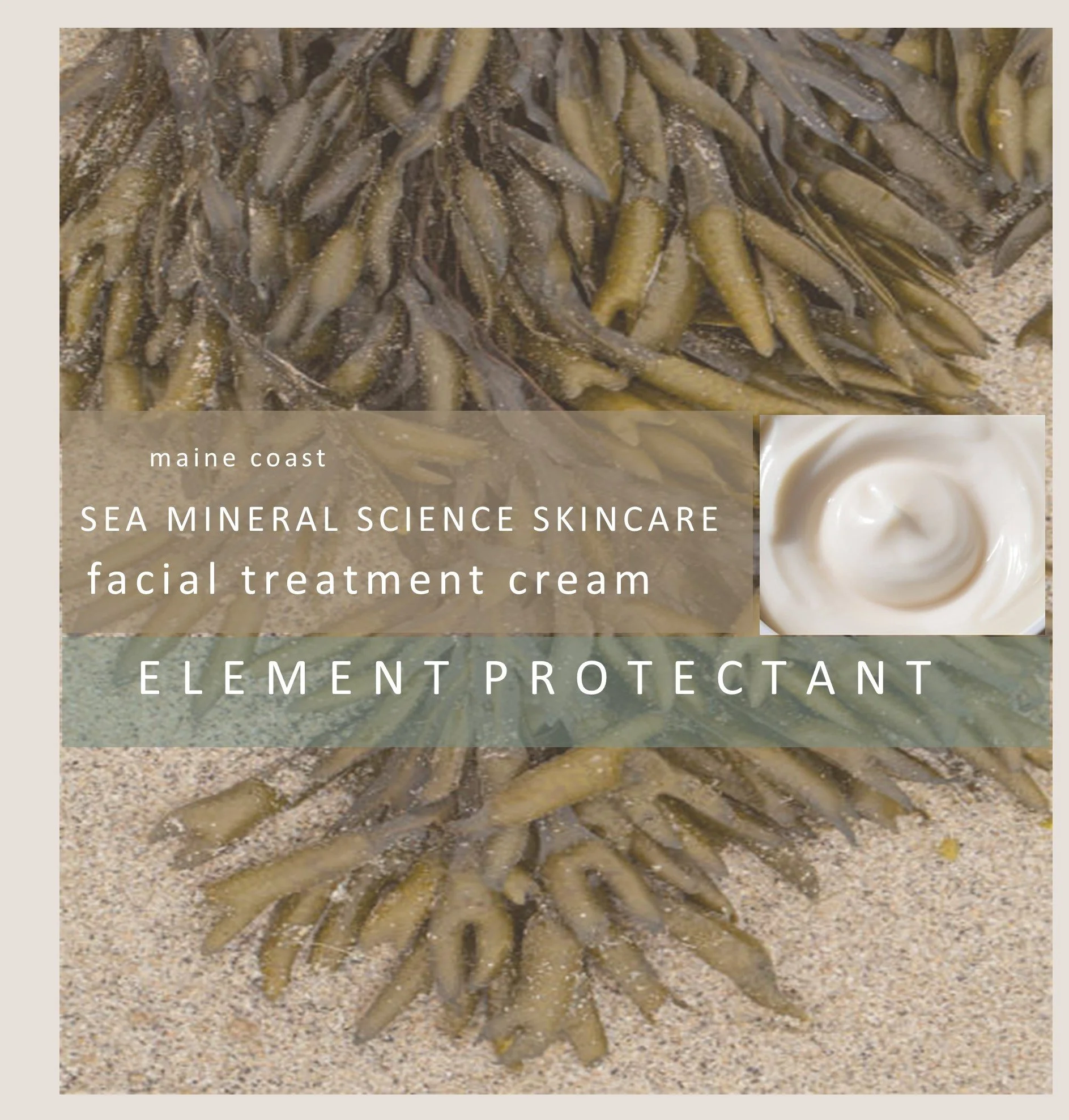 Sea Mineral — solavedi organics