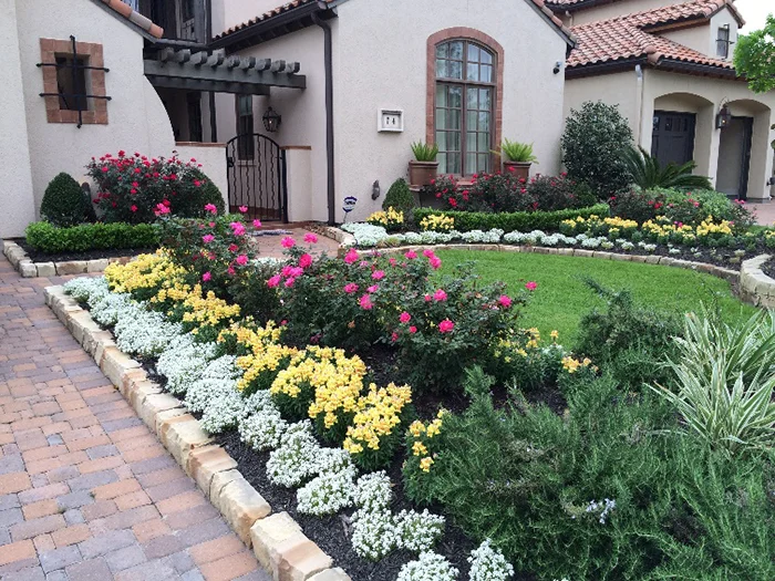 Seasonal Plants, Add a Punch of Color to Your Landscape — Envy Exteriors