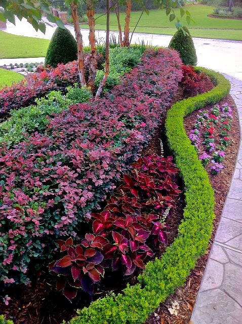Seasonal Plants, Add a Punch of Color to Your Landscape — Envy Exteriors