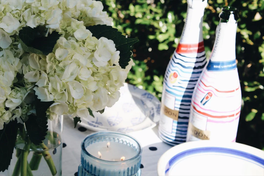 SUMMER BLUES: 5 TIPS FOR ENTERTAINING — Robinson Style