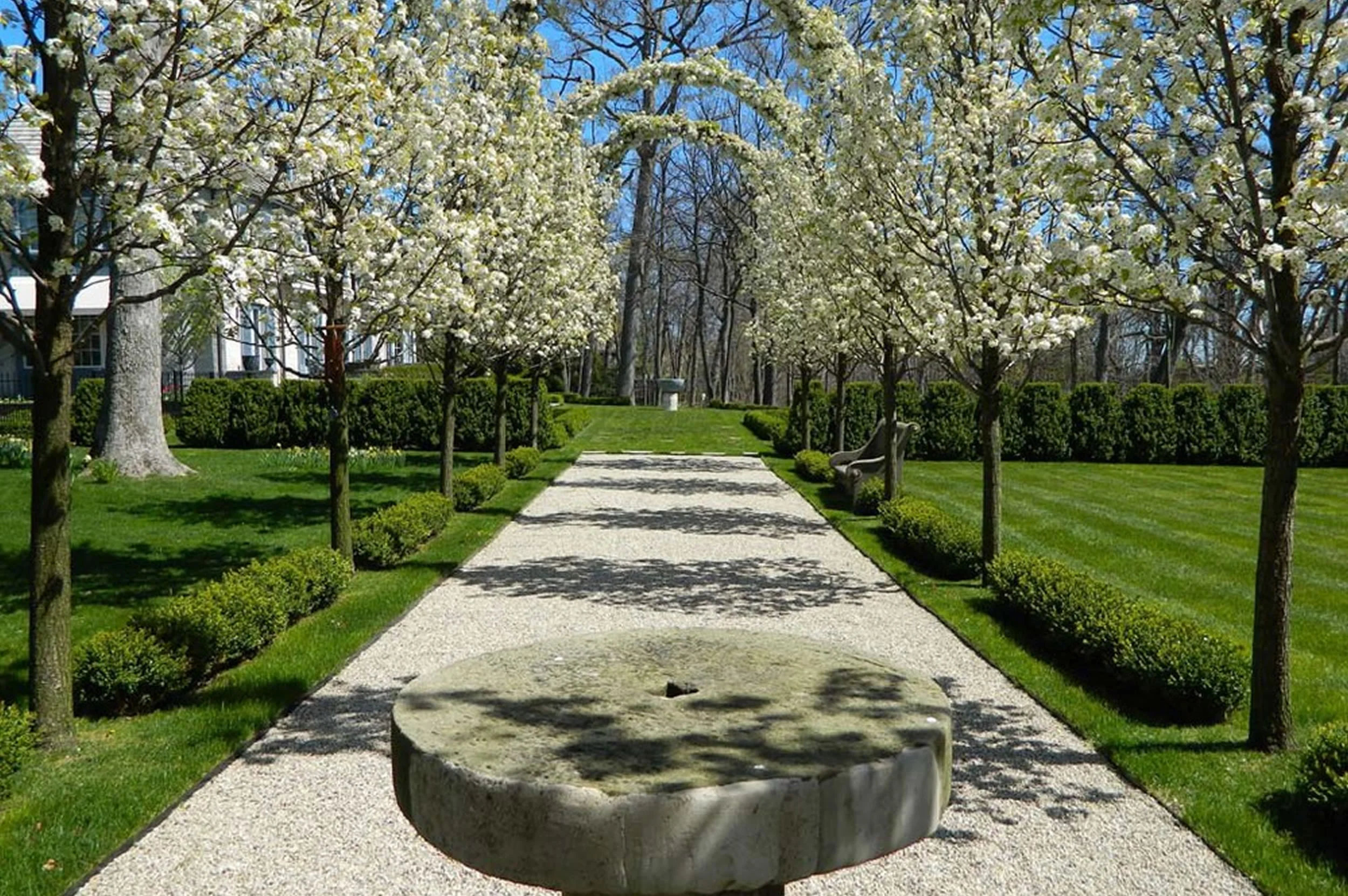 Gardens In ProgressGardens In Progress