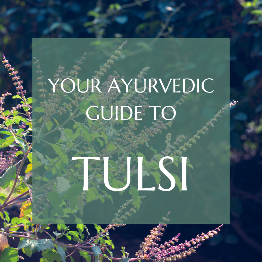 Tulsi: The Ultimate Guide to Holy Basil in Ayurveda for Stress ...