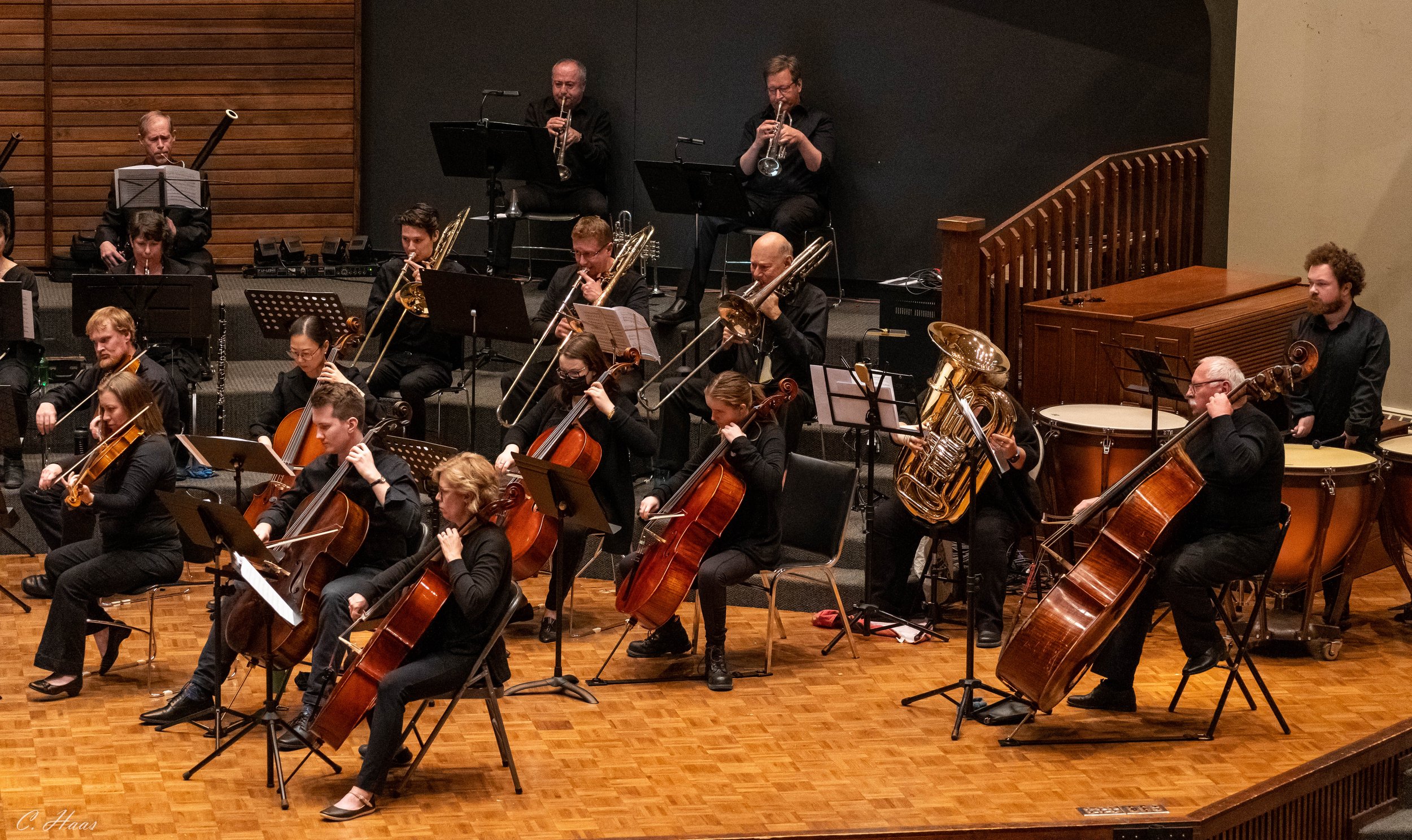 Gallery — Richmond Orchestra & Chorus
