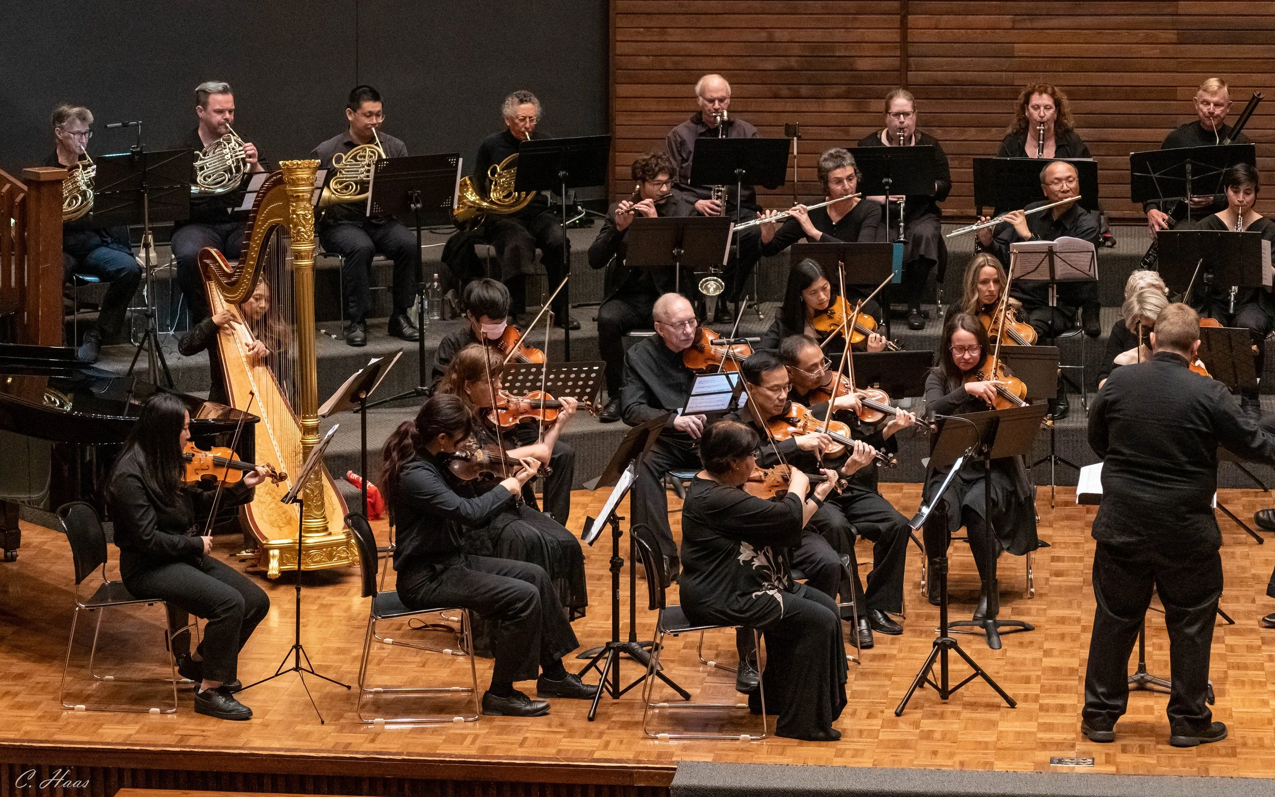 Gallery — Richmond Orchestra & Chorus