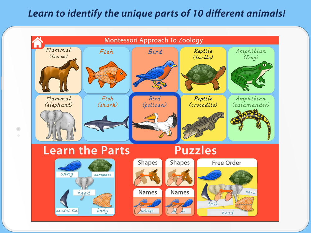 Animal Head Human Body App