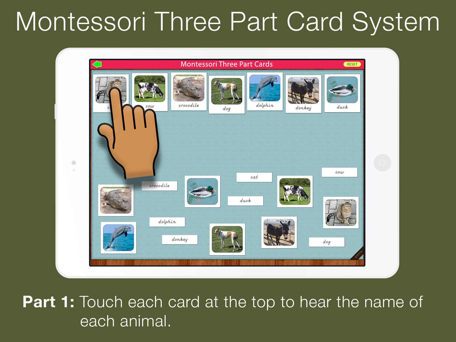 Card Matching - Animals — Mobile Montessori
