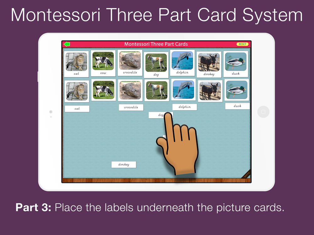 Card Matching - Animals — Mobile Montessori