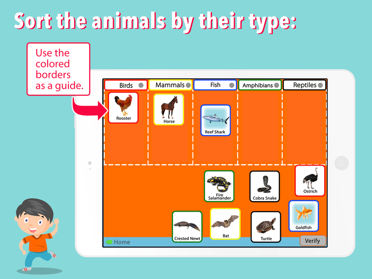 Animal Kingdom - Vertebrates — Mobile Montessori