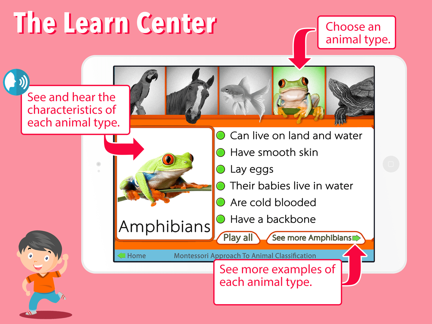 Animal Kingdom - Vertebrates — Mobile Montessori