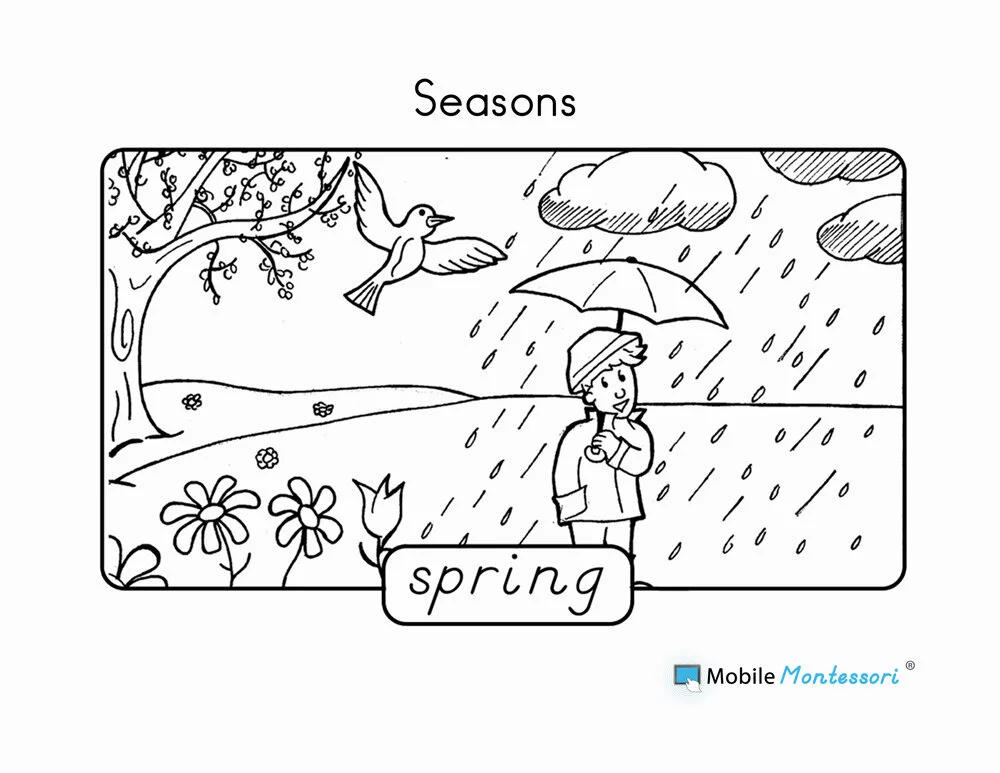 Seasons & Weather — Mobile Montessori