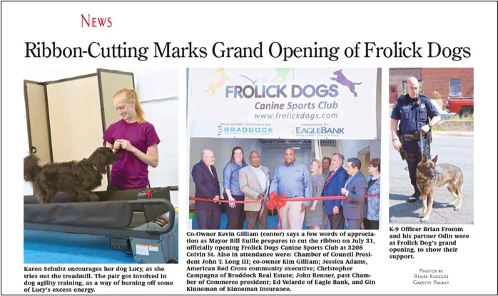 Press — Frolick Dogs