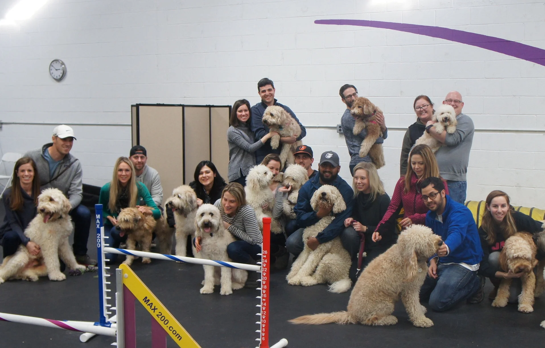 Events — Frolick Dogs