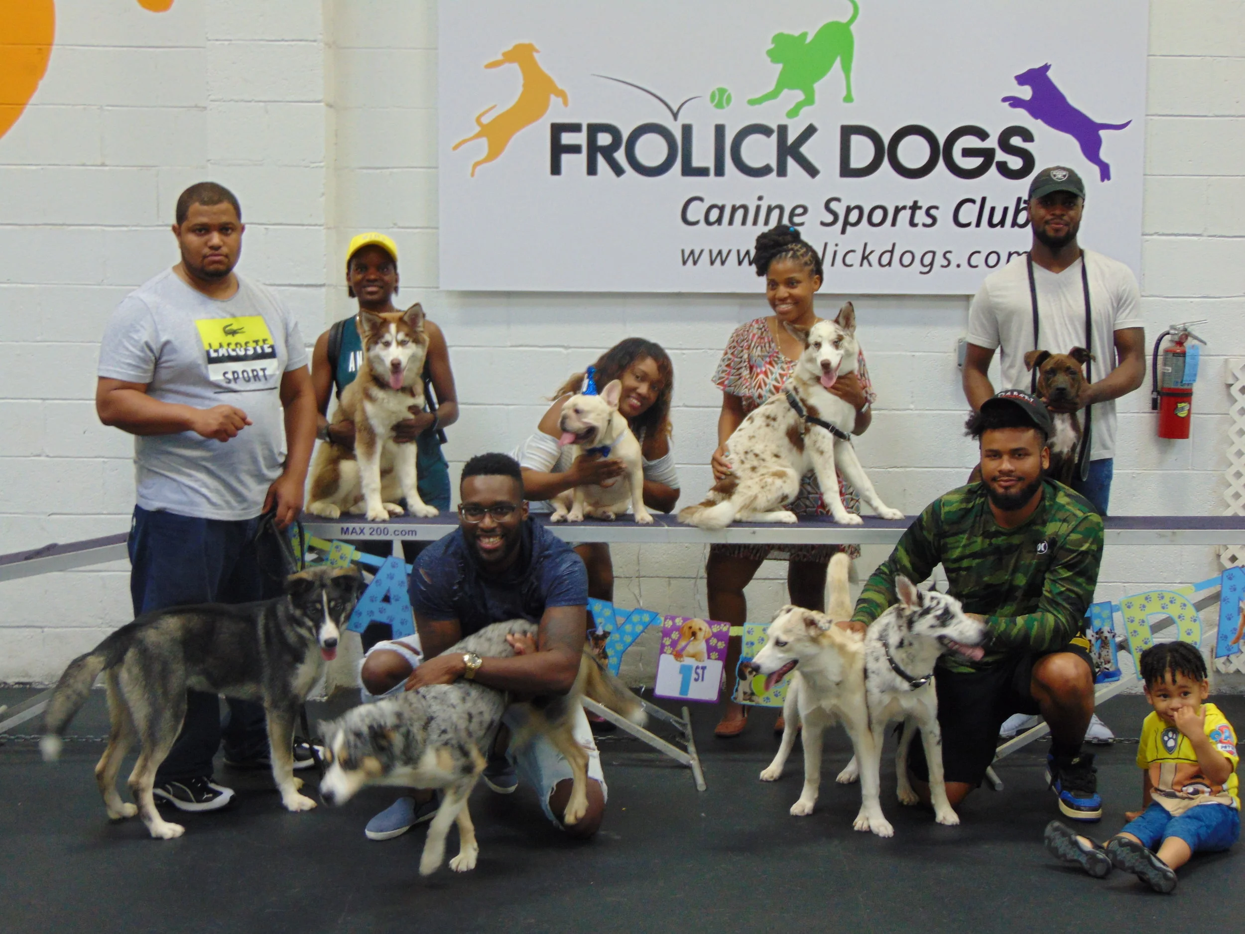 Services — Frolick Dogs