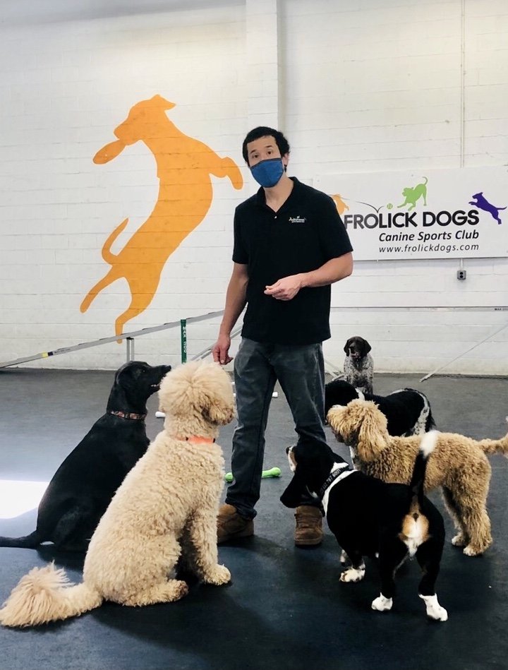 About Us — Frolick Dogs