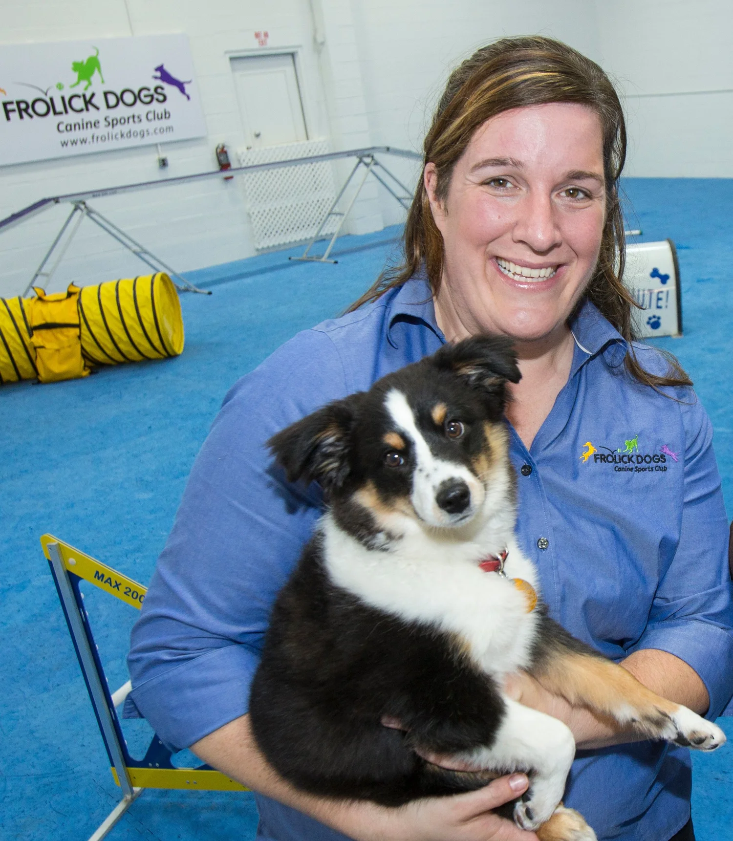 About Us — Frolick Dogs