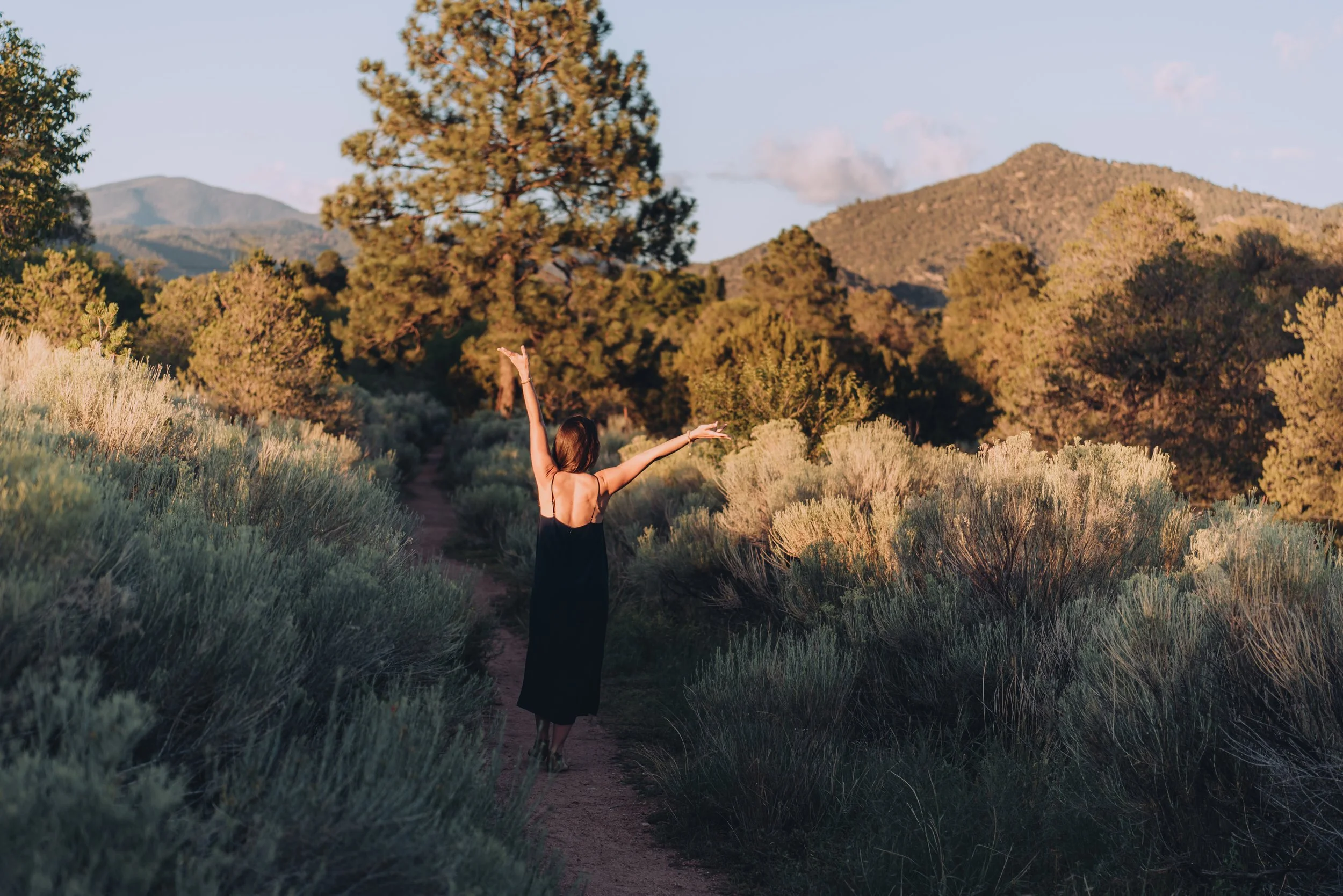 Clover and Timothy ~ Alicia Allison