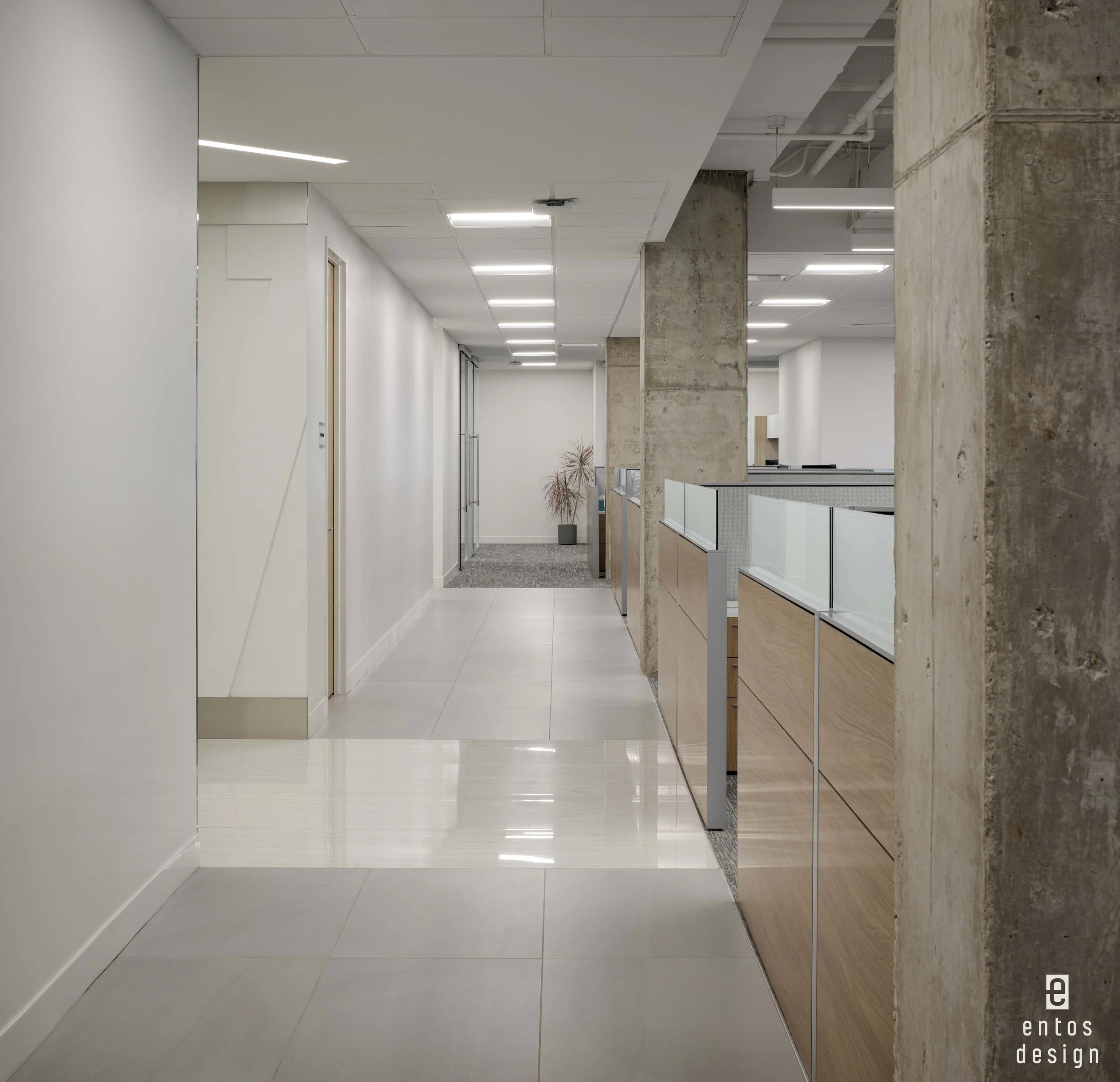 Weitzman — ENTOS Design