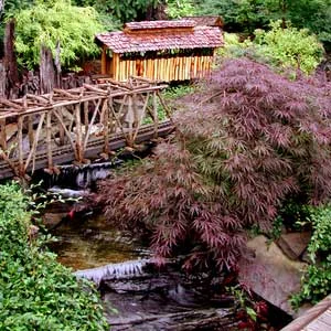 Applied Imagination, Ltd