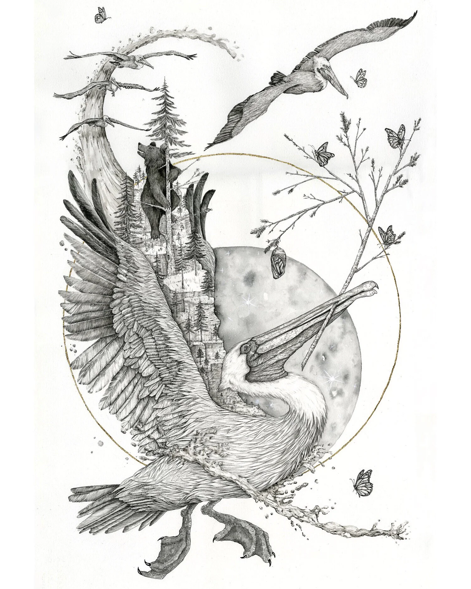 Commissions — Marissa Quinn