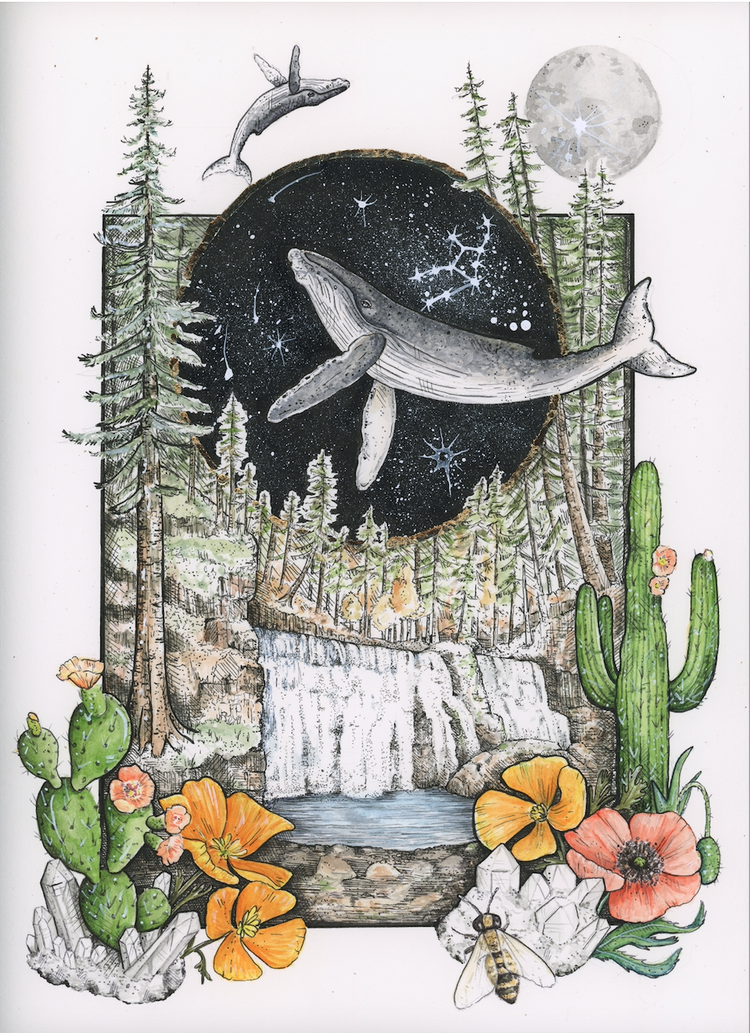 Commissions — Marissa Quinn