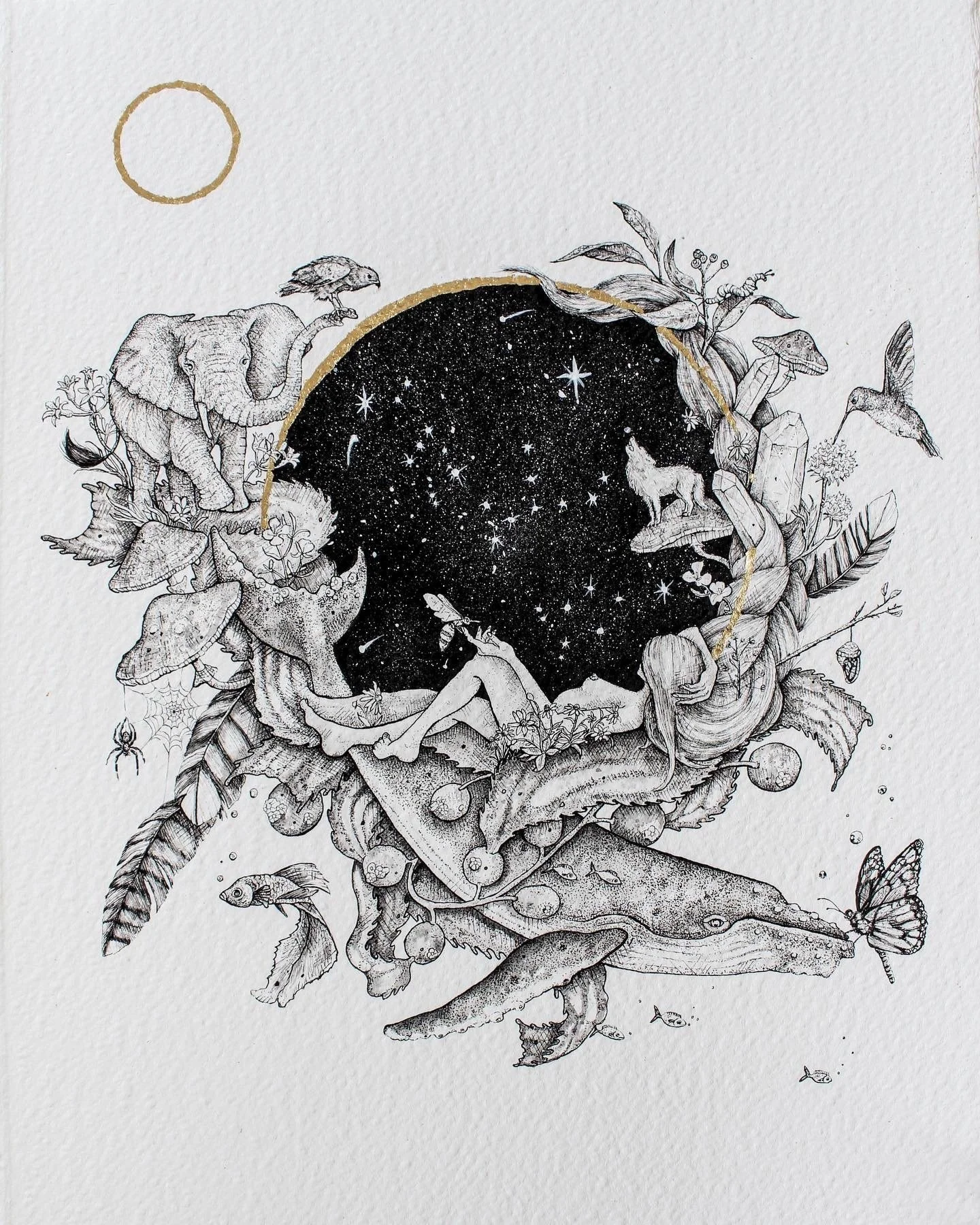Commissions — Marissa Quinn