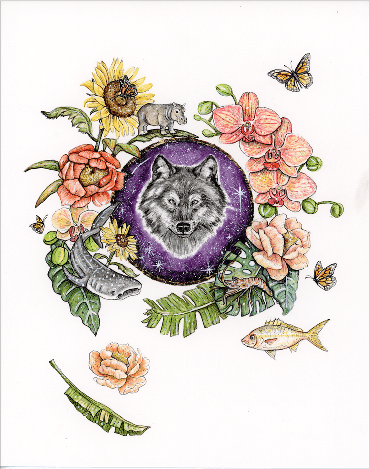 Commissions — Marissa Quinn
