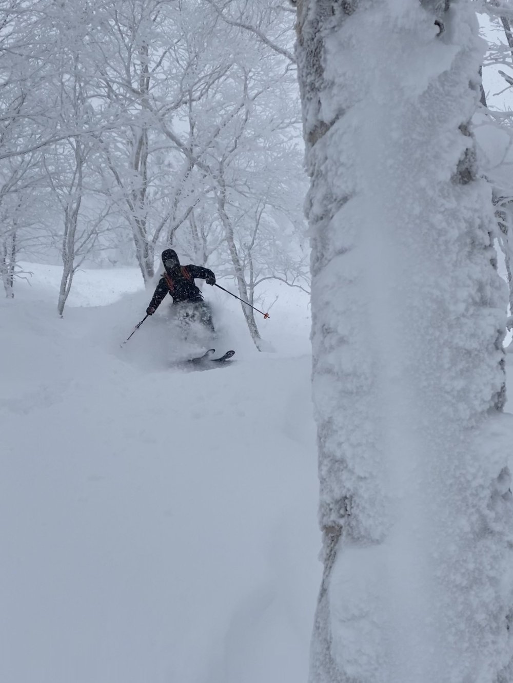 Hokkaido Powder Belt — Alpine Backcountry, Japan