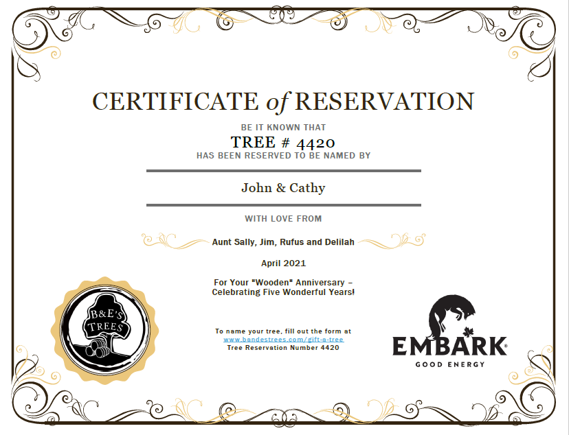 Name A Tree In B E s Forest B E s Trees Name A Tree In B E s Forest B E s Trees