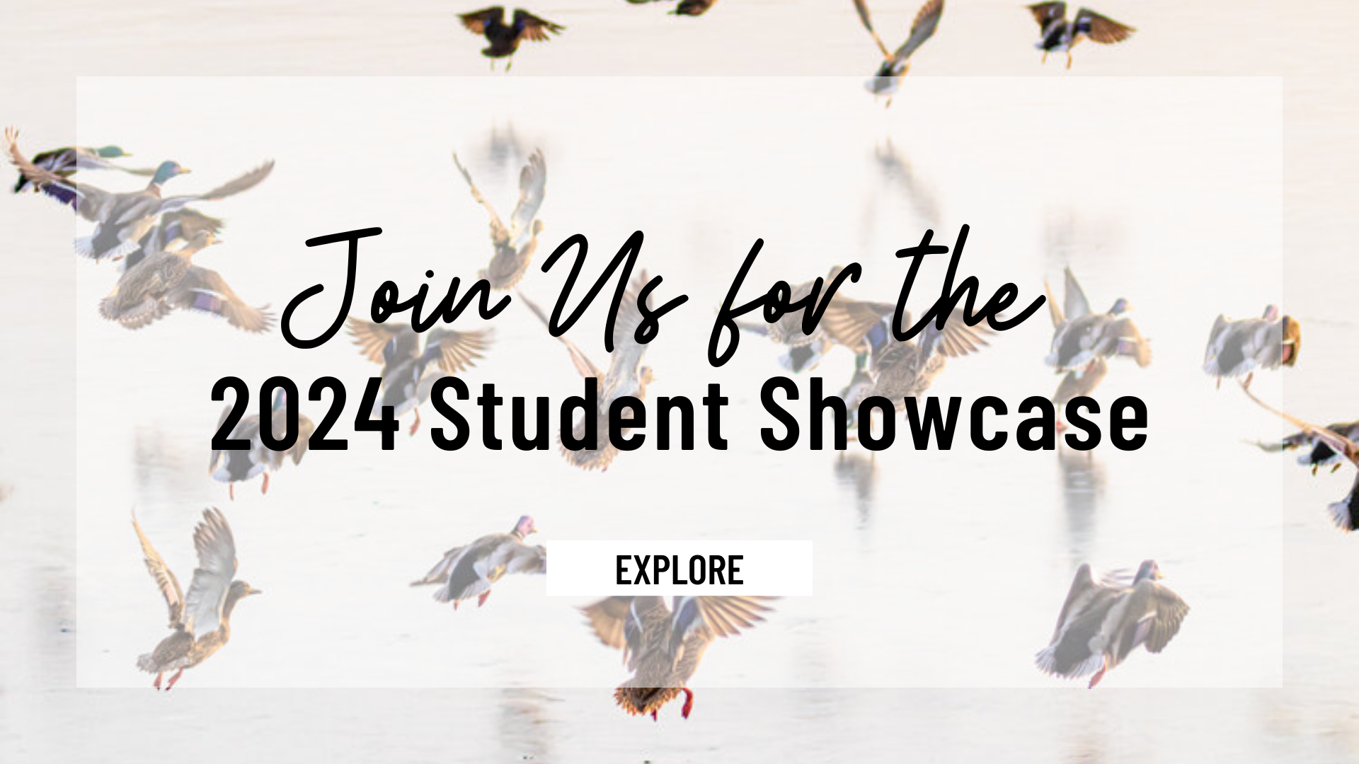 Boston Photography Workshops - Boston Photography Workshops