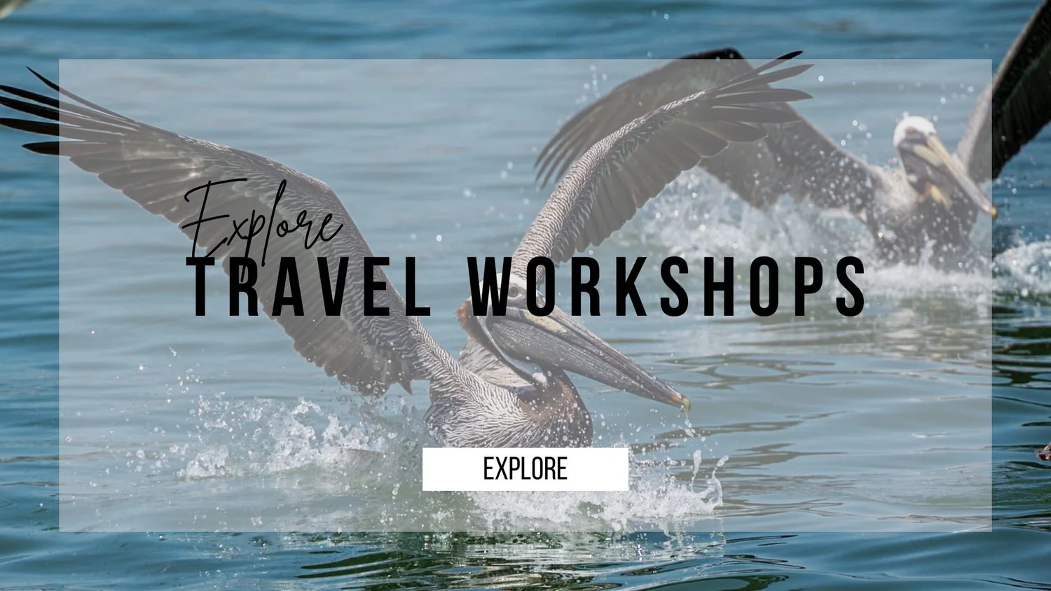 Boston Photography Workshops - Boston Photography Workshops