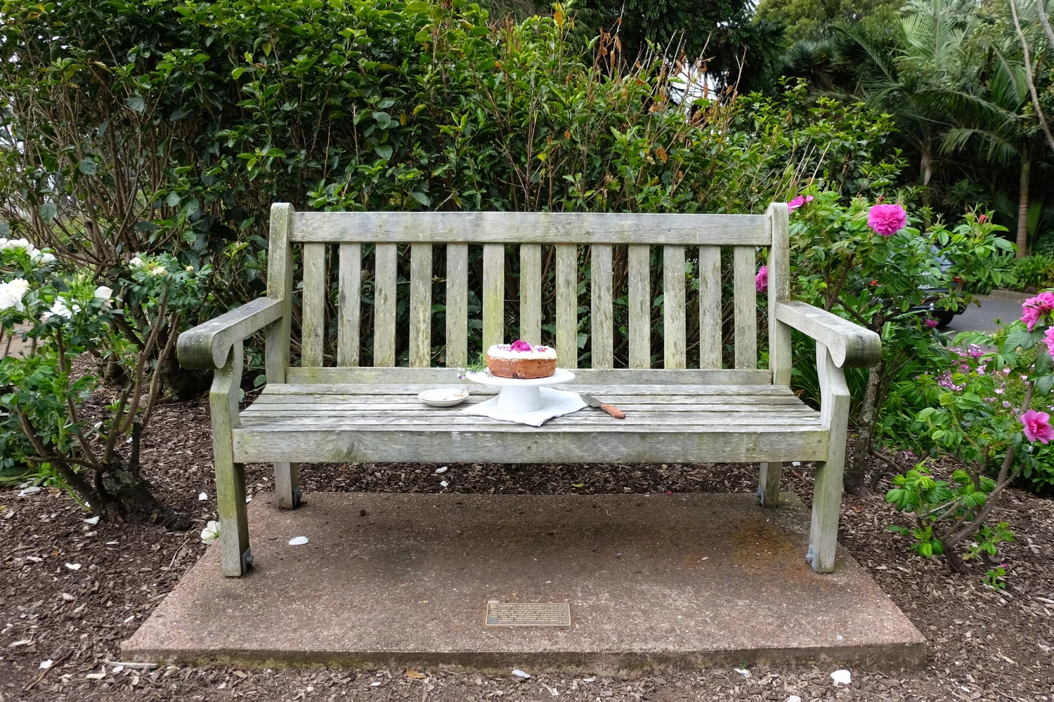 Ricotta and Boysenberry Cake — Sophie Likes Cake
