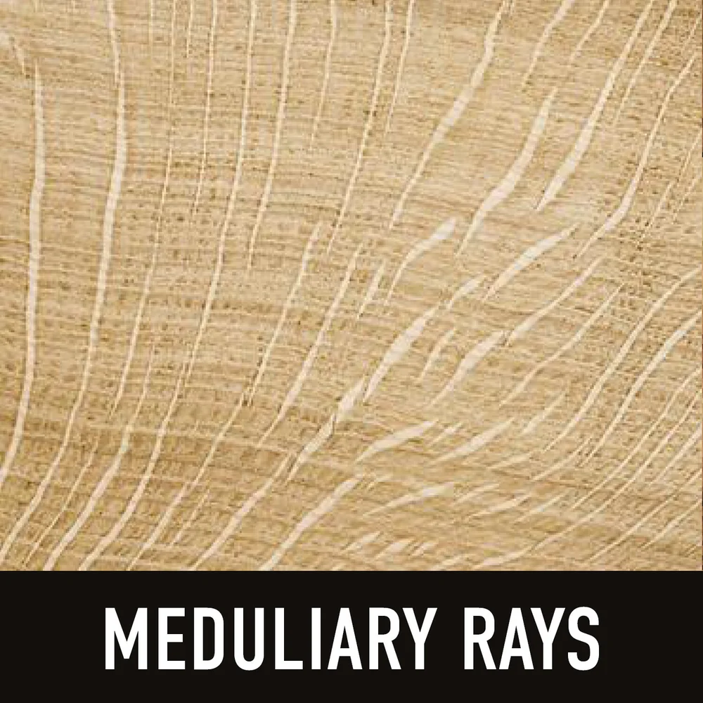 Wood — ZMF Headphones