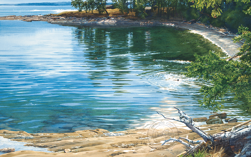 Carol Evans Artist