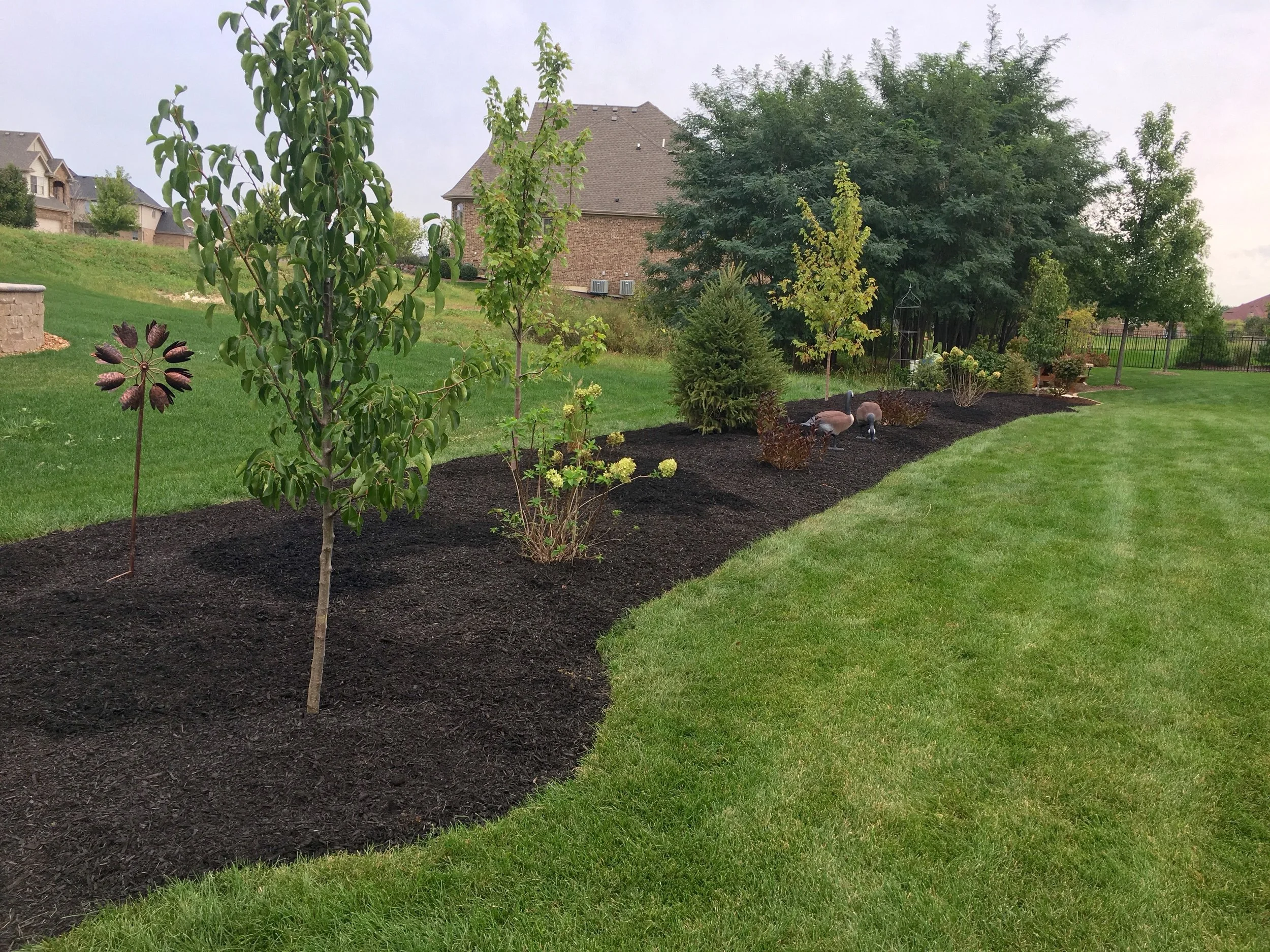 Portfolio — Tundra Landscape